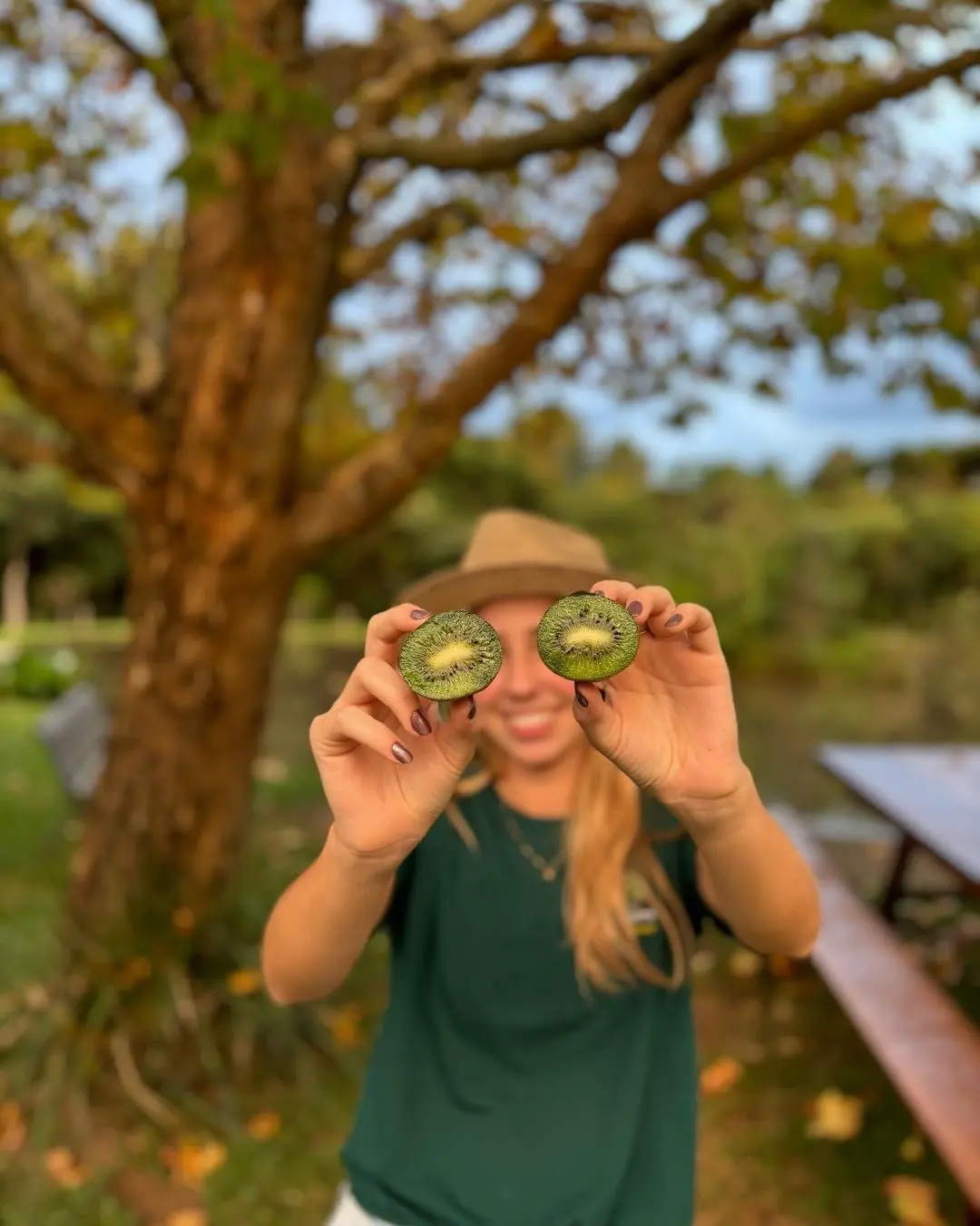 Kiwi: O Guia Completo Sobre a Fruta Kiwi